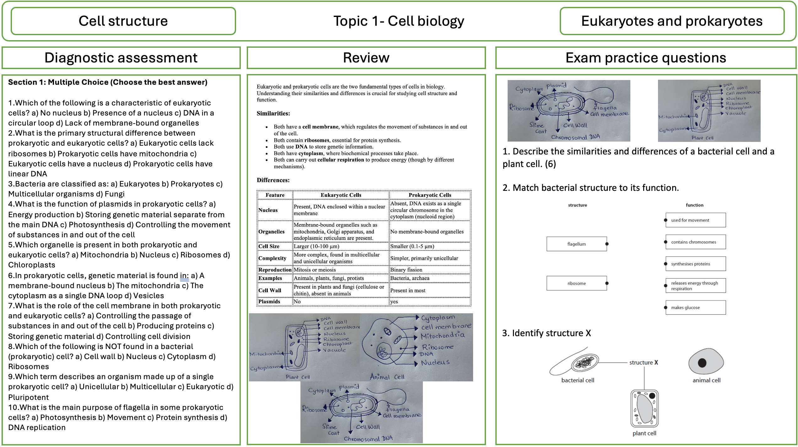 AQA GCSE Biology Topic 1 Mastery Pack | Teaching Resources