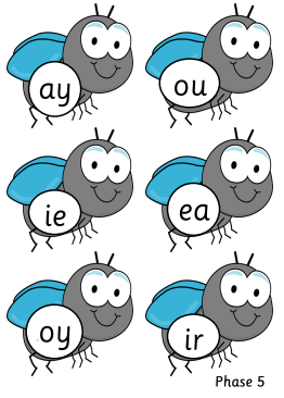 Fly Phonics Game | Teaching Resources