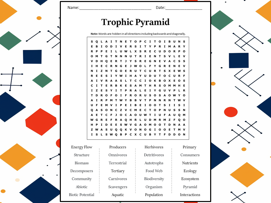 Trophic Pyramid Word Search Puzzle Worksheet Activity | Teaching Resources