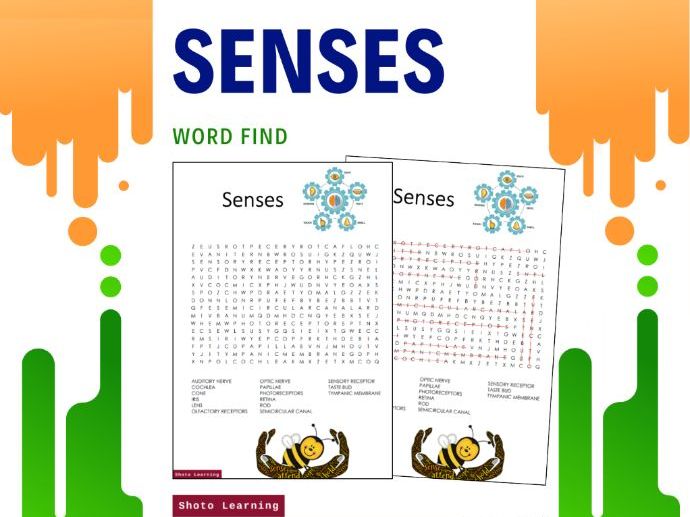 SENSES SCIENCE SENSE ACTIVITY WORD FIND CROSSWORD SOLVER CROSS SEARCH 