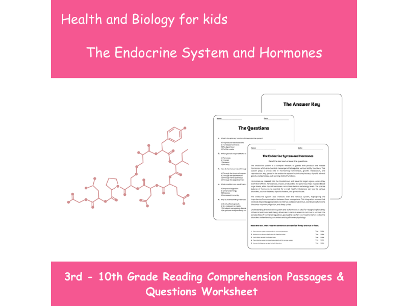 The Endocrine System and Hormones Reading Comprehension Passages ...