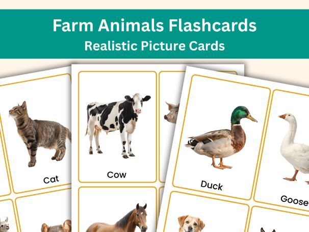 Farm Animals Flashcards – 24 Realistic Picture Cards for Kids ...