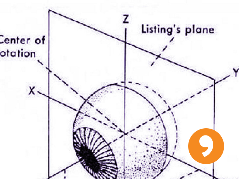 Primary Geometry And Measures Teaching Resources Similarity And