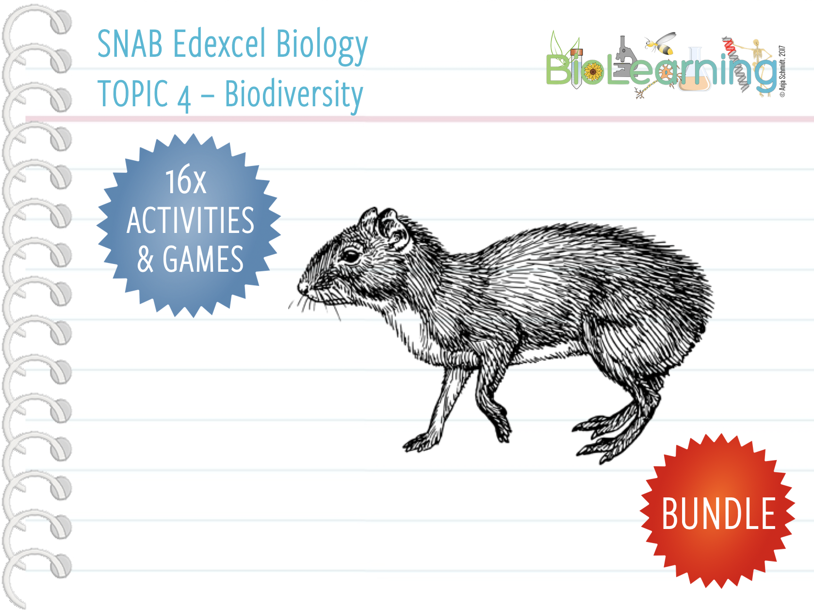 SNAB Biology Topic 4 – 16x Games and activities | Teaching Resources