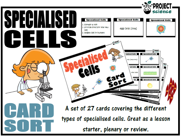 Specialised Cells Card Sort | Teaching Resources