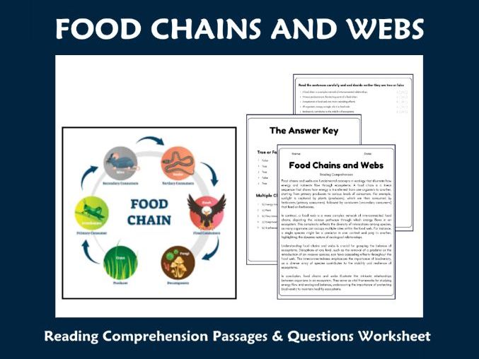 Food Chains and Webs: Reading Comprehension Passages & Questions ...