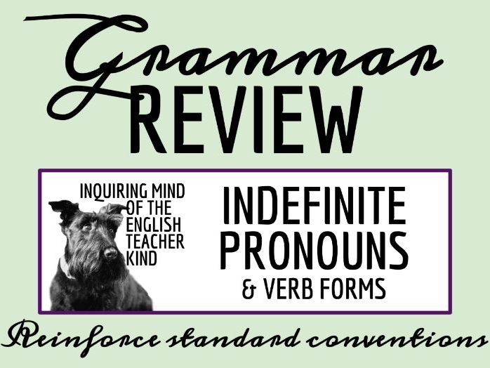 Grammar Review Practice Worksheet on Singular and Plural Indefinite ...