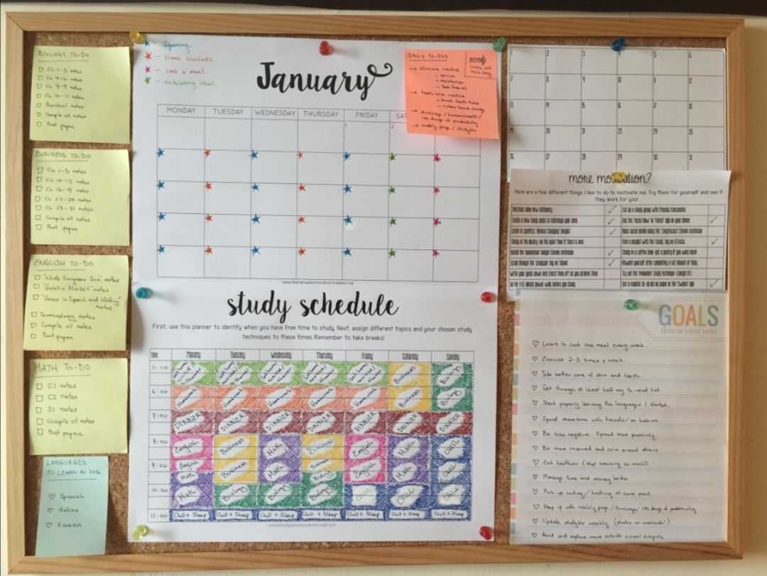 Exam Study skills planning booklet | Teaching Resources