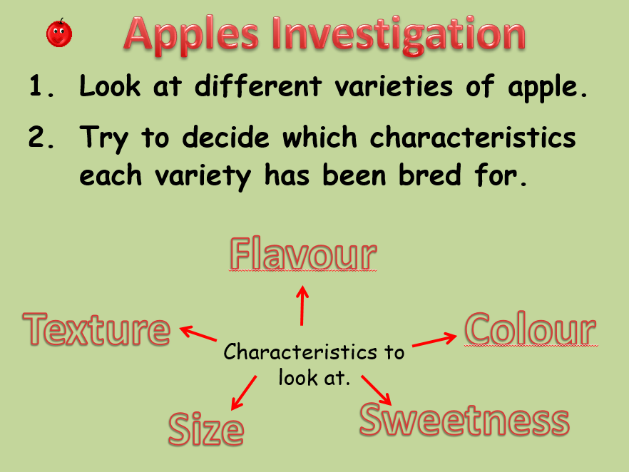 Edexcel CB4 SB4 Selective Breeding Complete Lesson - GCSE Biology ... Edexcel CB4 SB4 Selective Breeding Complete Lesson - GCSE Biology ...