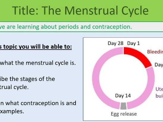 KS3 ~ Year 7 ~ Reproduction B1c Biology | Teaching Resources