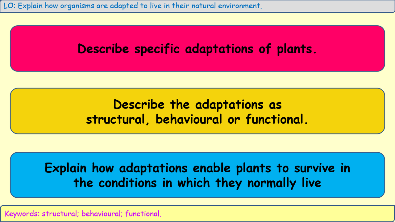 Adaptations - Plants & extremophiles | Teaching Resources
