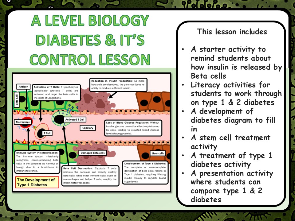 A Level Biology Diabetes & it's Control Lesson & Activities | Teaching ...
