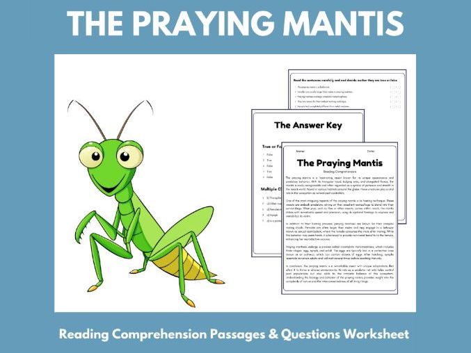 The Praying Mantis: Reading Comprehension Passages & Questions ...