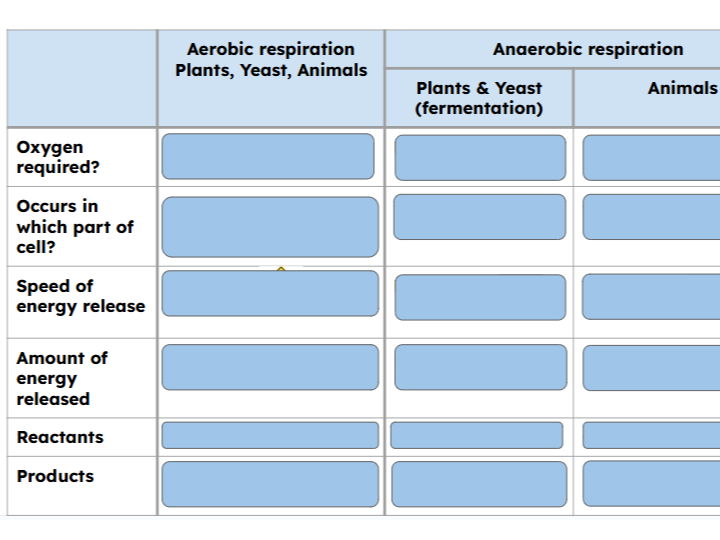GCSE Biology Revision Resource Respiration complete lesson | Teaching ...