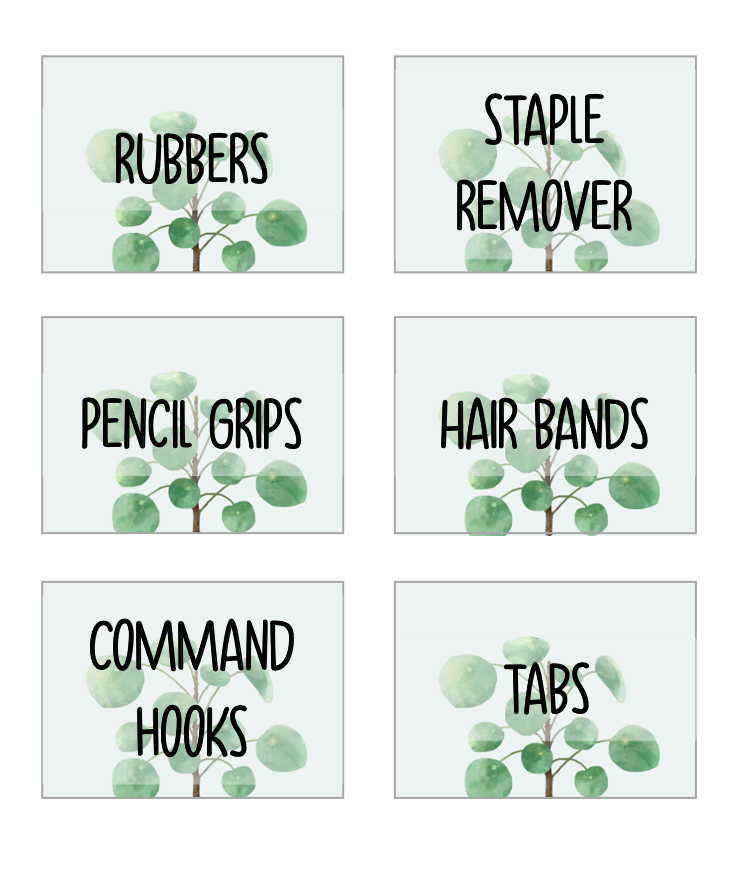 Boho Plants Teacher Toolbox Labels (Editable Version Included ...