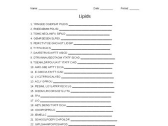 Lipids Word Scramble for Biological Chemistry | Teaching Resources