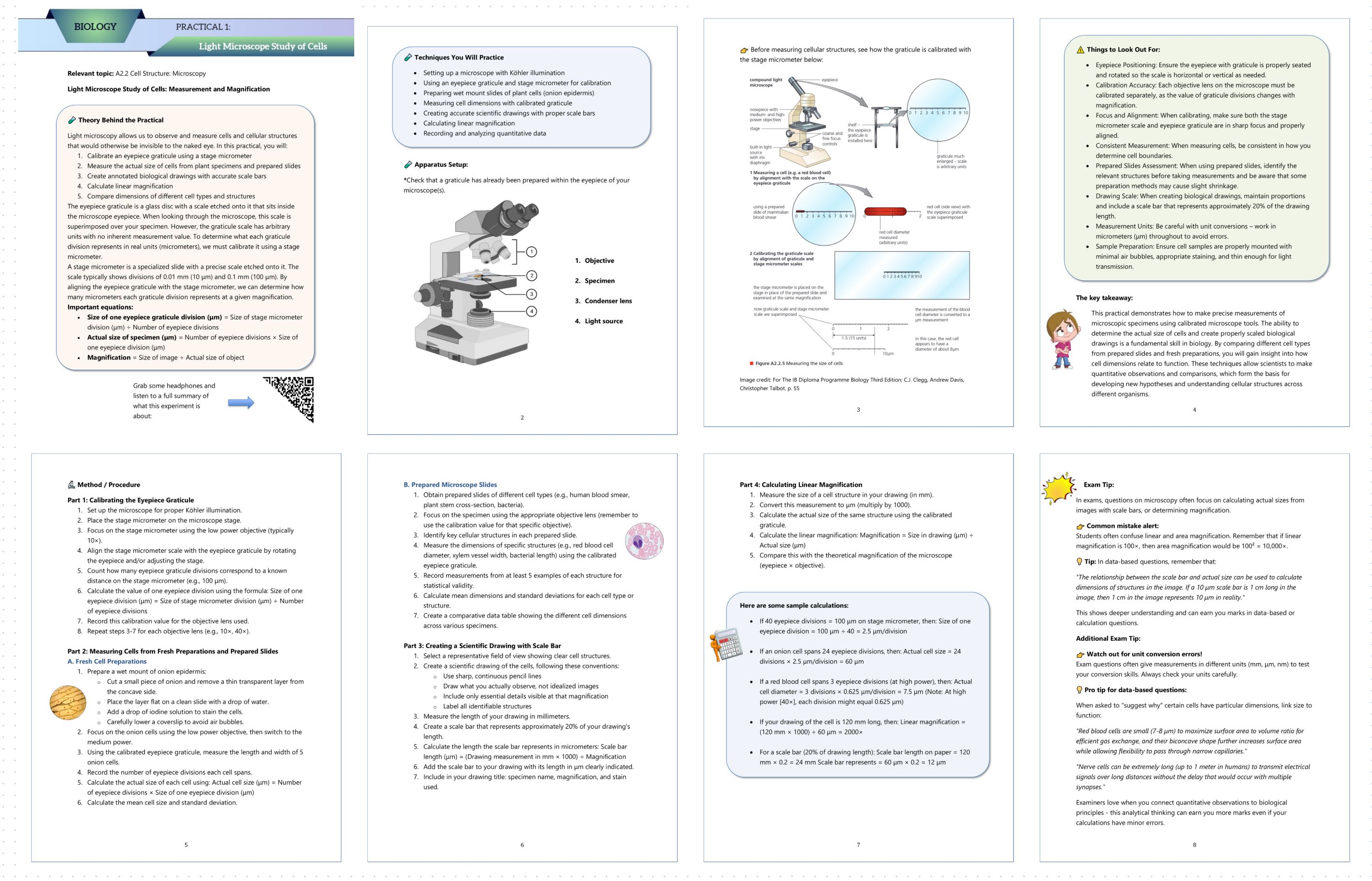 IB DP Biology Light Microscope and Magnification Lab Sheets Teacher and ...