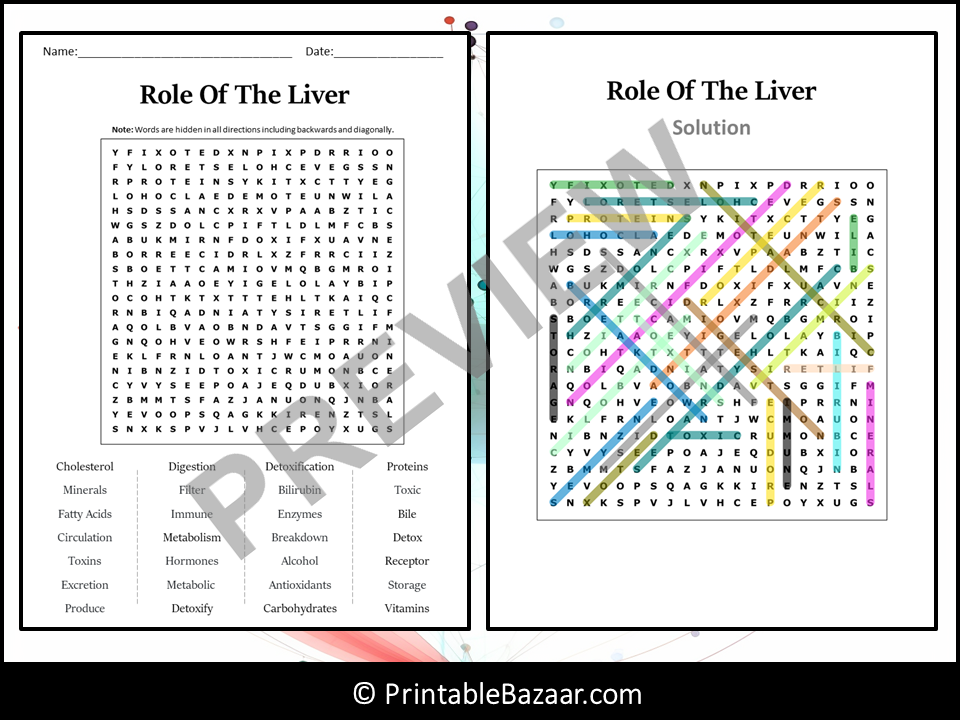 Hepatic System Word Search Celiac Trunk: Anatomy & Function