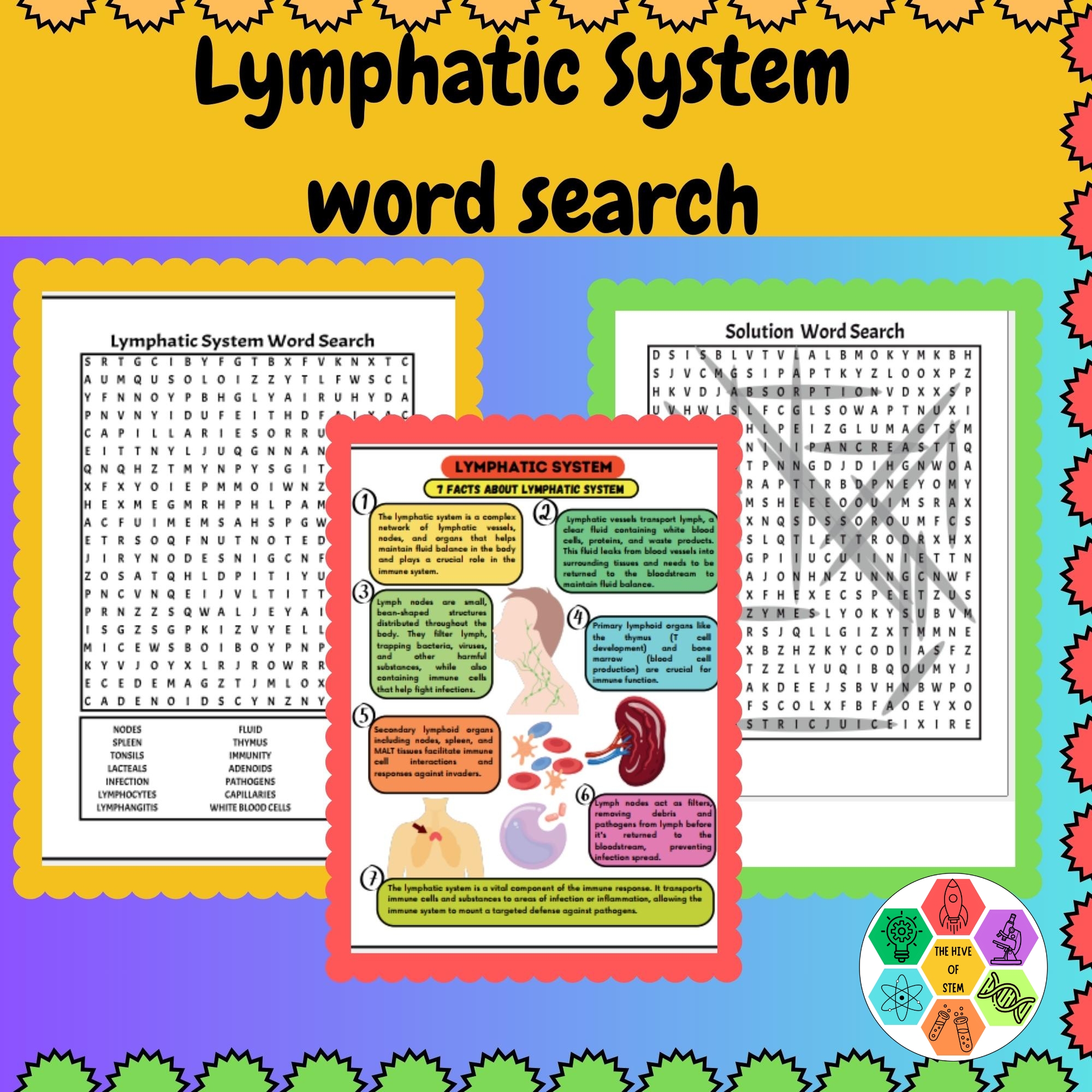 Human Body Systems | Lymphatic System | Facts and Word Search ...