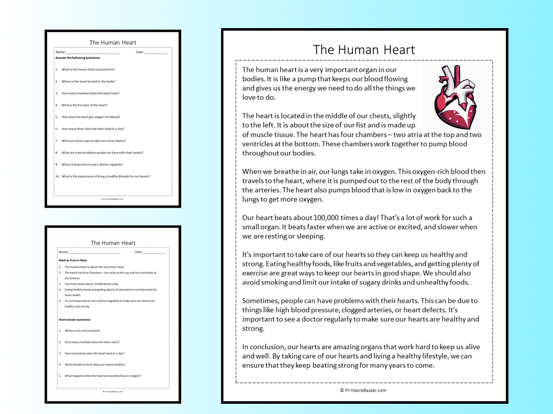 The Human Heart Reading Comprehension Passage Printable Worksheet | Teaching Resources