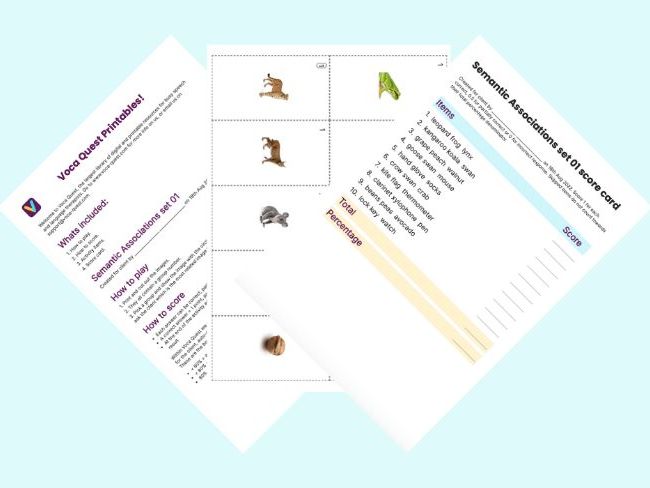 Semantic Association Set 01 - Voca Quest Printable | Teaching Resources