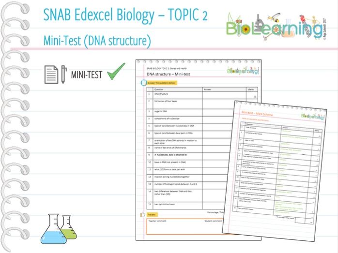 DNA structure - Mini-test (KS5) | Teaching Resources