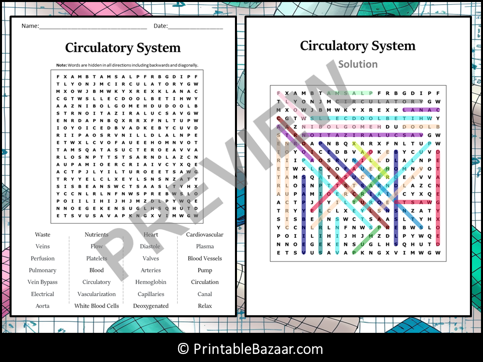 Circulatory system Word Search Puzzle Worksheet Activity | Teaching ...