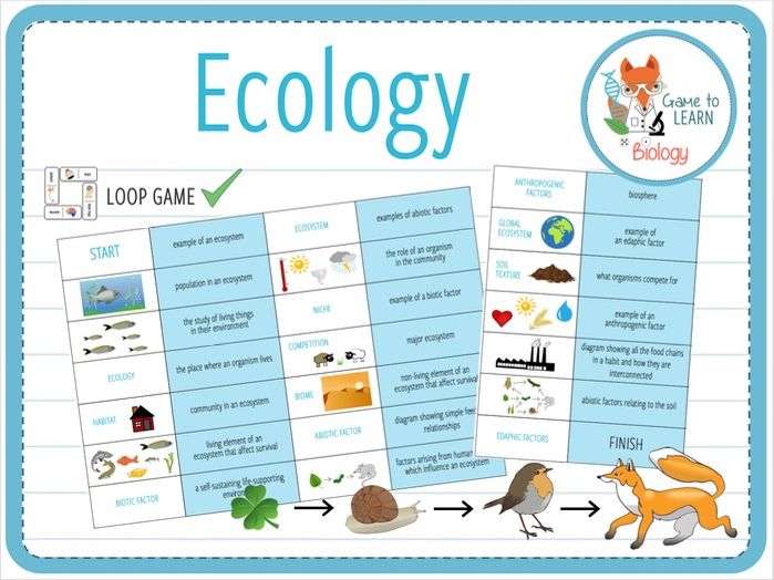 Ecology - Loop Game (KS5) | Teaching Resources