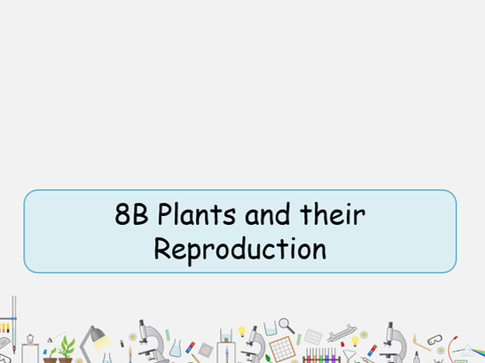 8B Plants and their Reproduction *BUNDLE* 5-6 Lessons | Teaching Resources