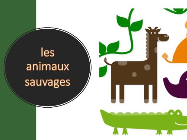 Primary French resources: animals and pets