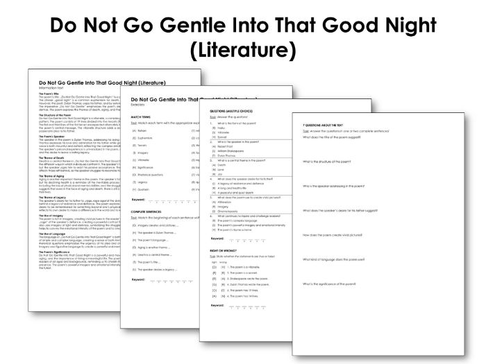 Do Not Go Gentle Into That Good Night (Literature) | Teaching Resources