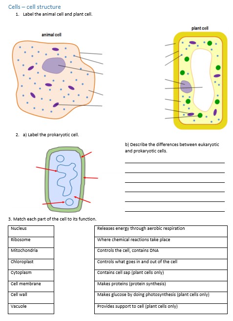 AQA combined science GCSE biology paper 1 revision booklet | Teaching ...