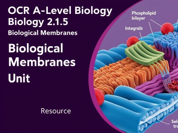 OCR A-level biology 2.1.5 Biological membranes- Whole topic | Teaching ...