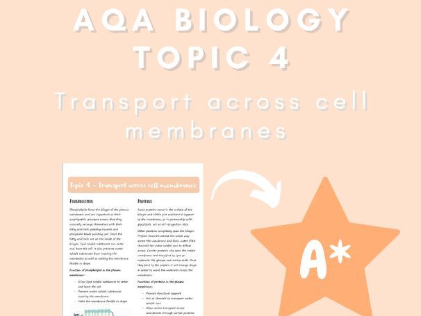 AQA A* Revision Notes on Topic 2 Transport Across Membranes | Teaching ...