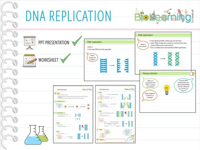 DNA replication - Powerpoint and Worksheet (KS4) | Teaching Resources