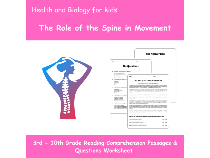 The Role of the Spine in Movement Reading Comprehension Passages ...