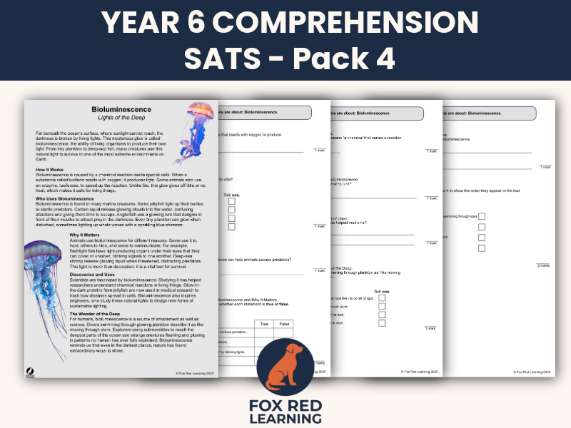 Year 6 SATs Reading Comprehension | 40 Extracts with SATs-Style Questions | Teaching Resources
