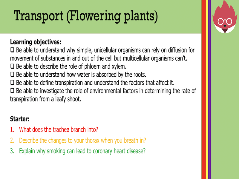 IGCSE Edexcel Biology (9-1) Structure and functions in living organisms ...