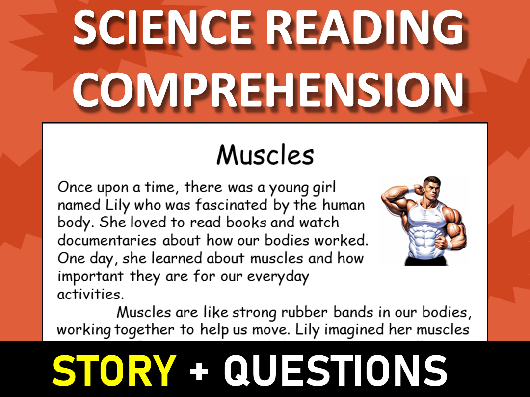Muscles Reading Science Story Comprehension Questions Worksheet ...