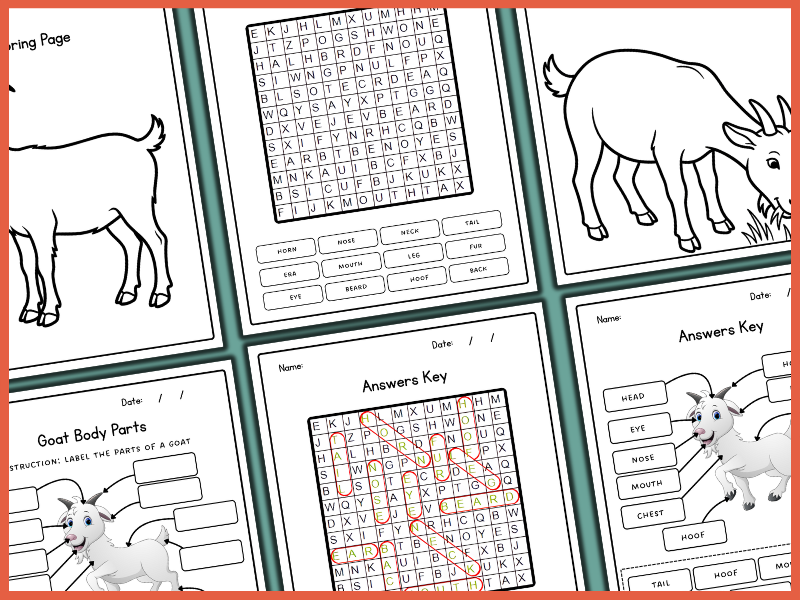 Goat Body Parts | Mammal Anatomy | Labeling & Coloring | Farm Animals ...