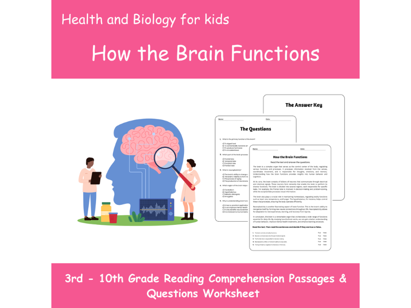 How the Brain Functions: Understanding the Human Mind: Reading ...