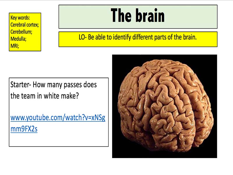 Mr Science - Teaching Resources - TES
