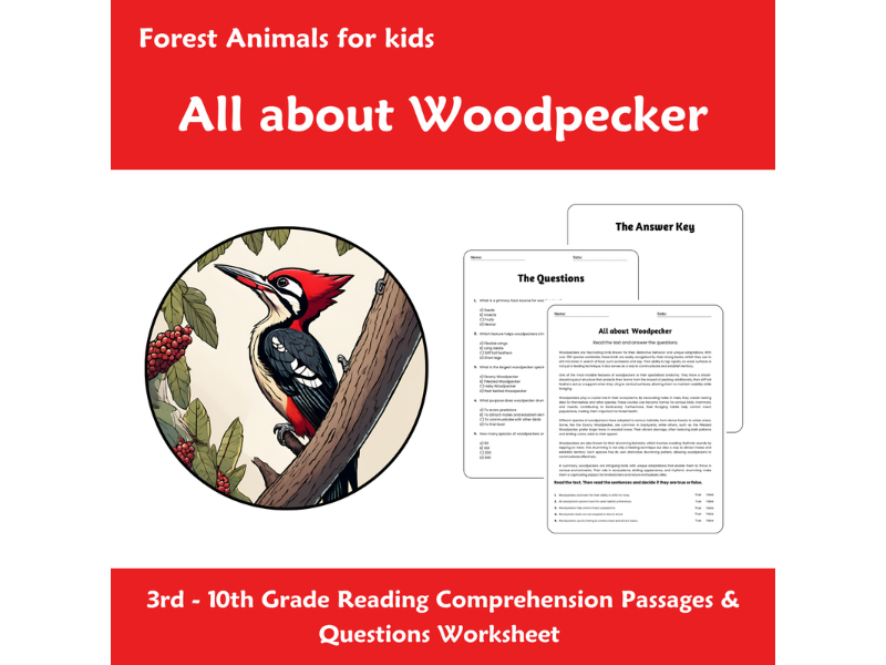 All About Woodpeckers - Reading Comprehension Passages & Questions ...