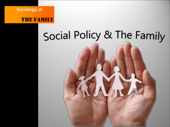 A Level Sociology: Social Policy & The Family | Teaching Resources