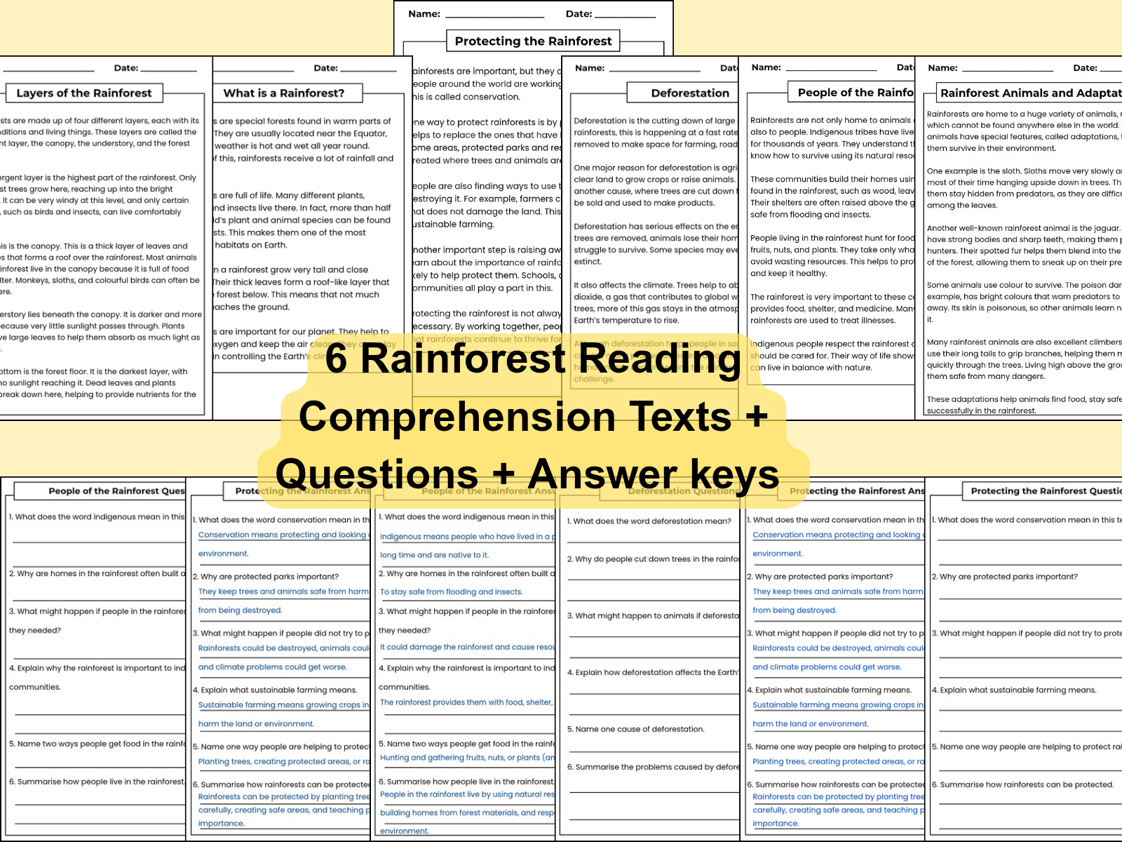 Rainforest Reading Comprehension | KS2 Year 3 & 4 | 6 Texts + Questions ...