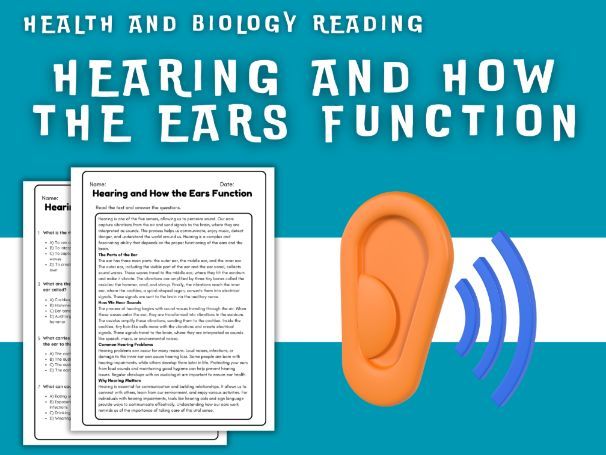 Hearing and How the Ears Function - Health Reading Worksheet | Teaching ...
