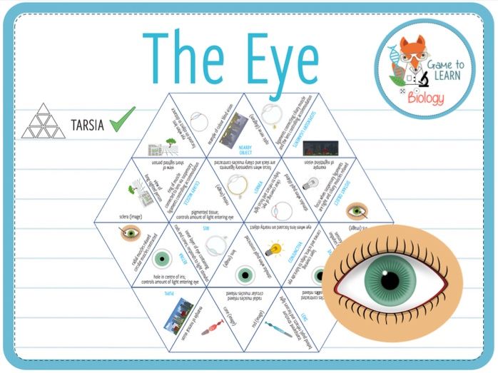 10x Biology Tarsia Games Bundle (2) - (KS3/4) | Teaching Resources