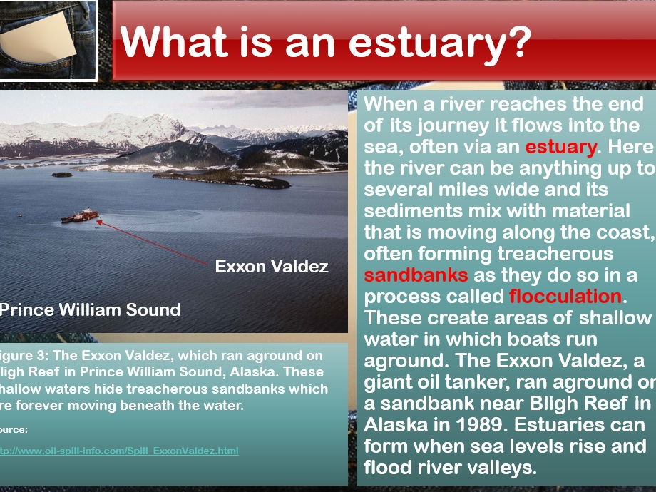 Estuary Formation Diagram