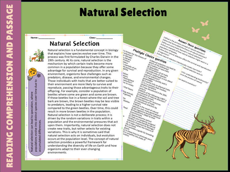 Understanding Natural Selection: Engaging Reading Passage & Questions ...