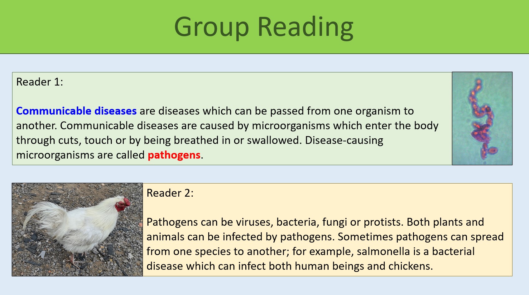Pathogens Lesson GCSE Biology | Teaching Resources